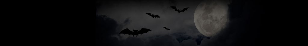 bats-header - Raider Wildlife Control